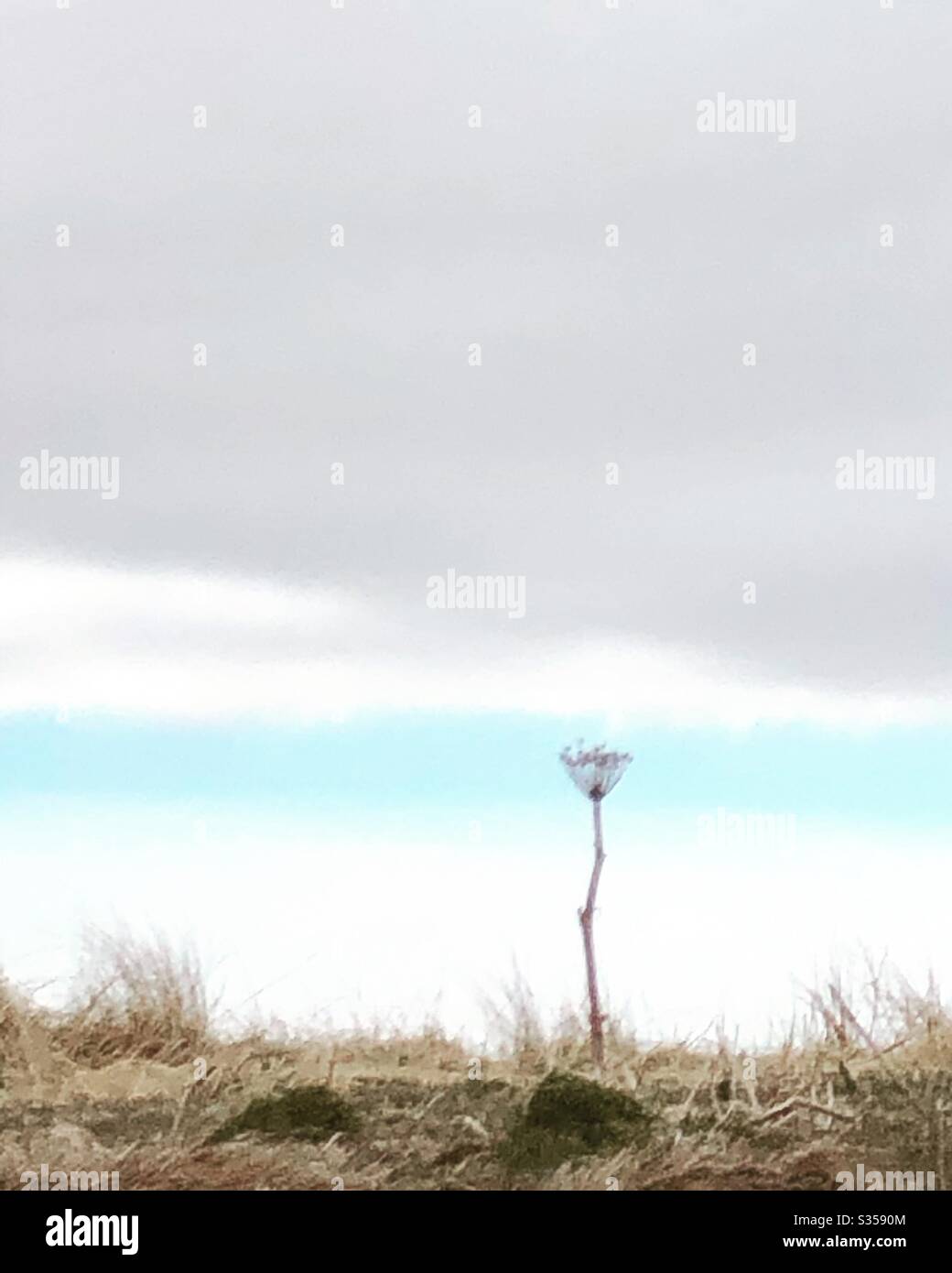 Tall Stand High Resolution Stock Photography and Images - Alamy