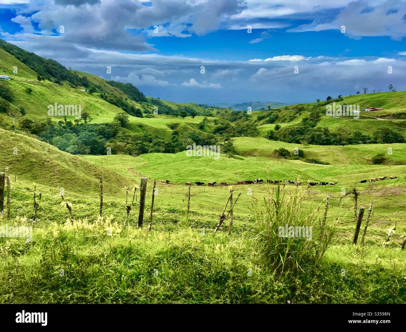 Costa Rican countryside Stock Photo - Alamy