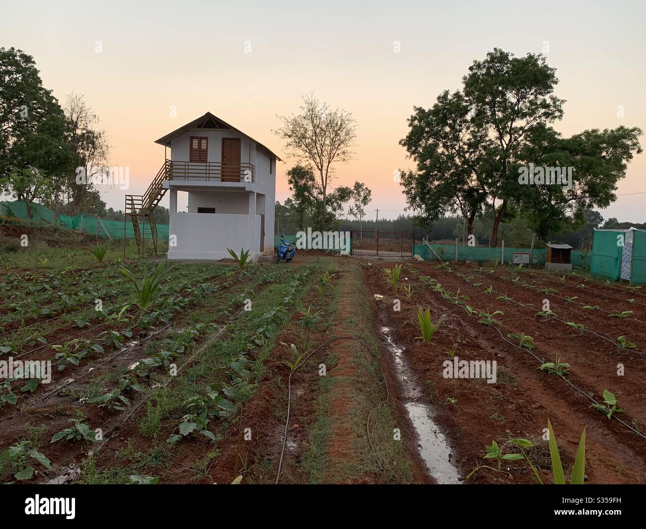 Evening colours hi-res stock photography and images - Alamy