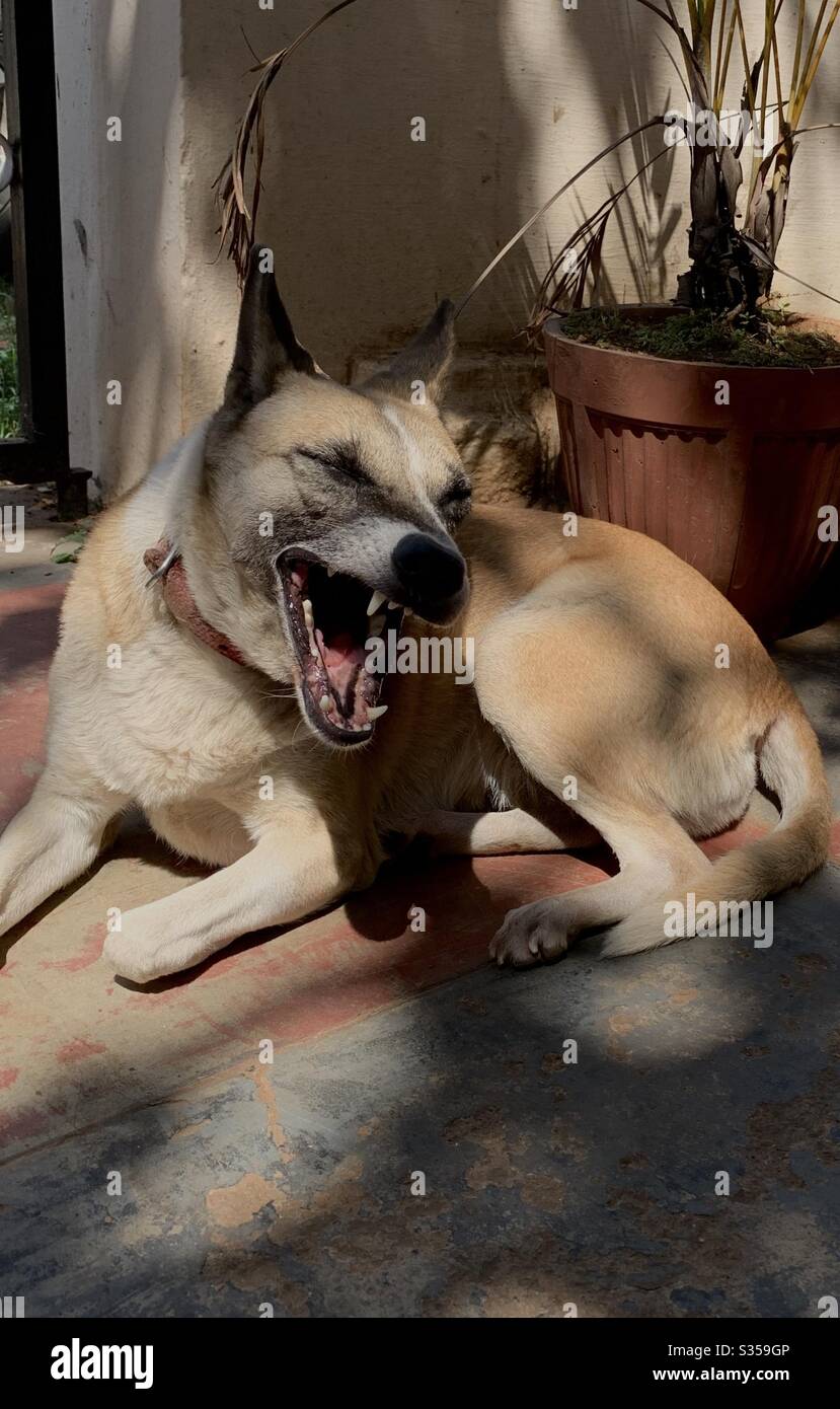 Boring time hi-res stock photography and images - Alamy