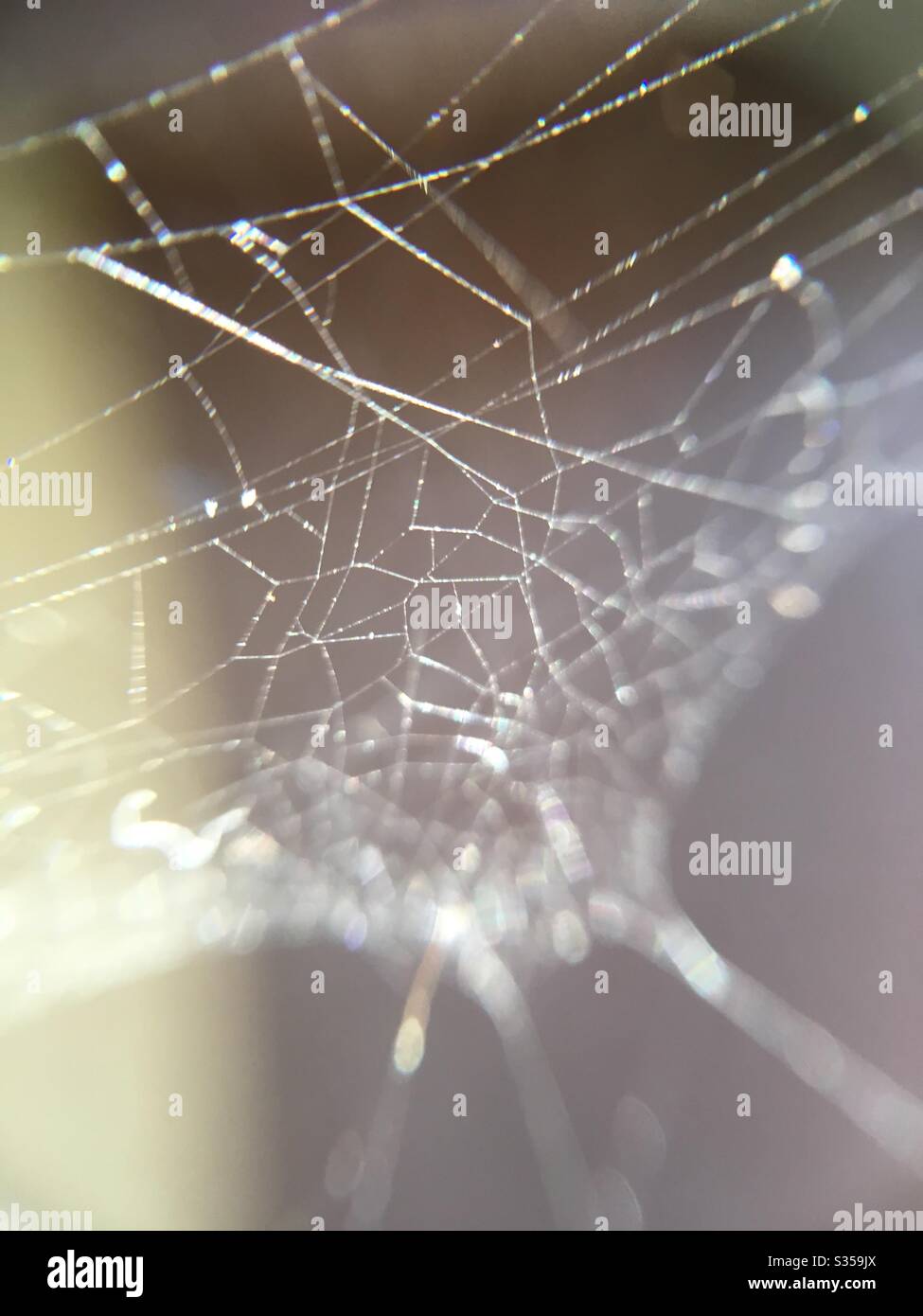 Spider web shapes hi-res stock photography and images - Alamy