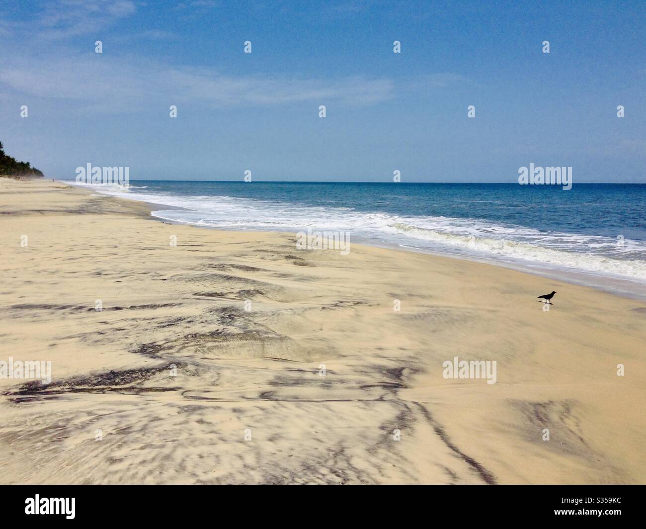 India beach clean hi-res stock photography and images - Alamy
