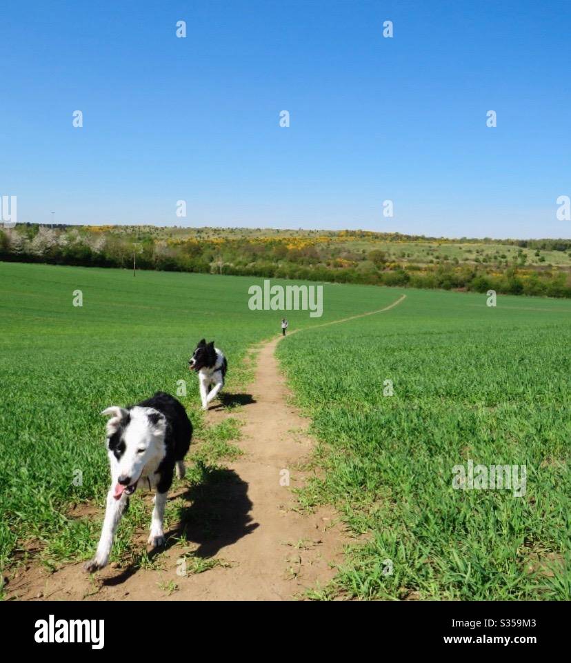 Countryside walk walks hi-res stock photography and images - Alamy