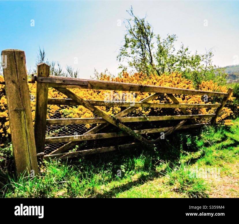 Countryside gate hi-res stock photography and images - Alamy