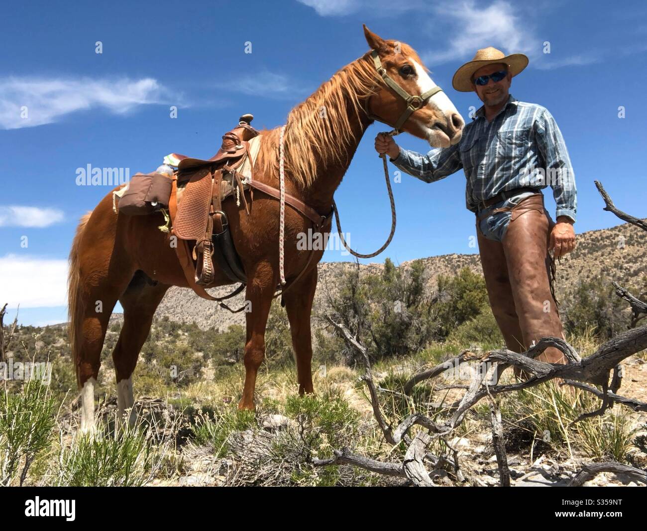 Cima california hi-res stock photography and images - Alamy