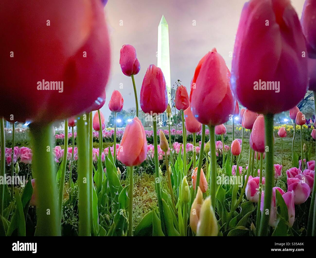 Floral library hi-res stock photography and images - Alamy