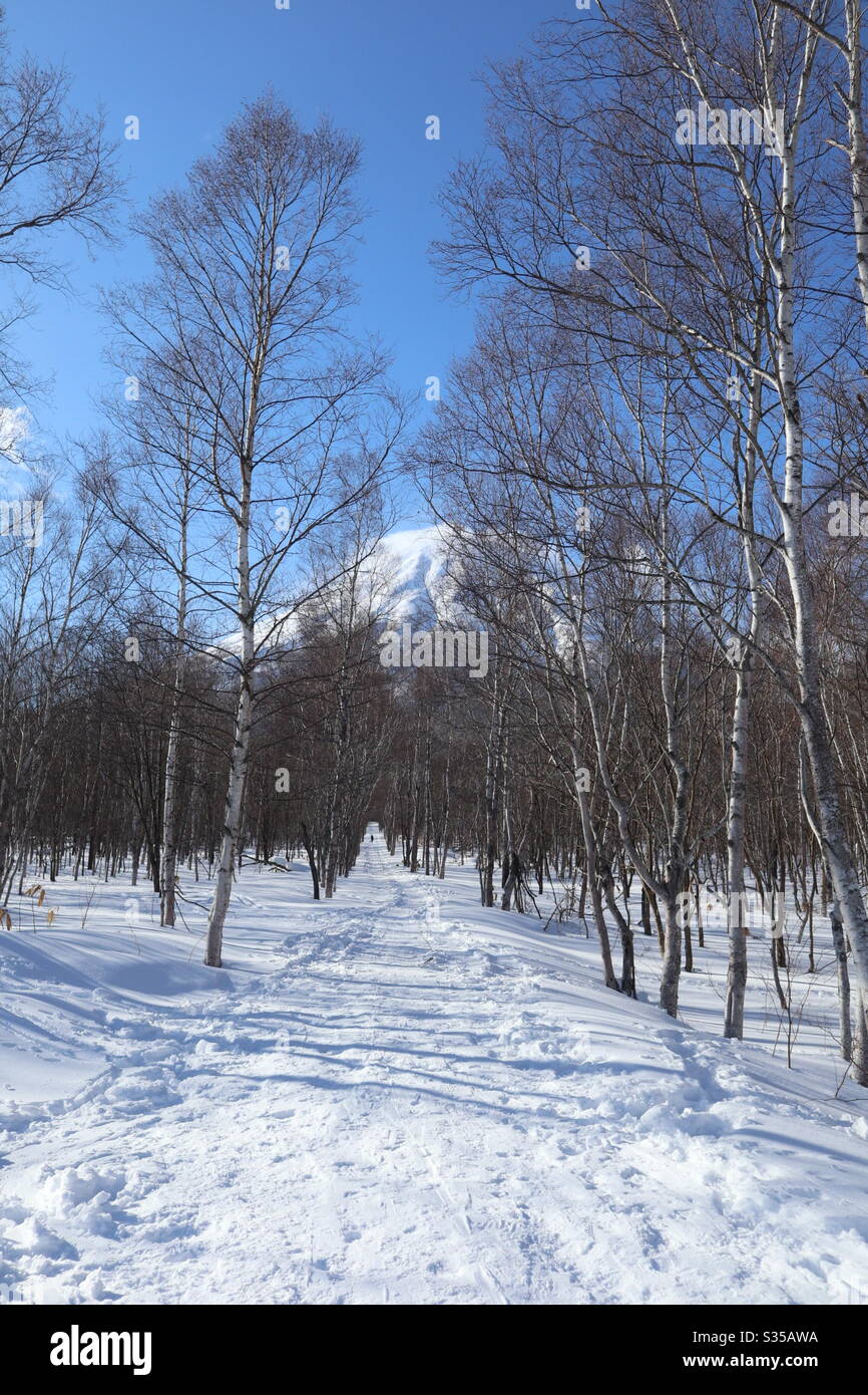 Mt yotei snow hi-res stock photography and images - Alamy