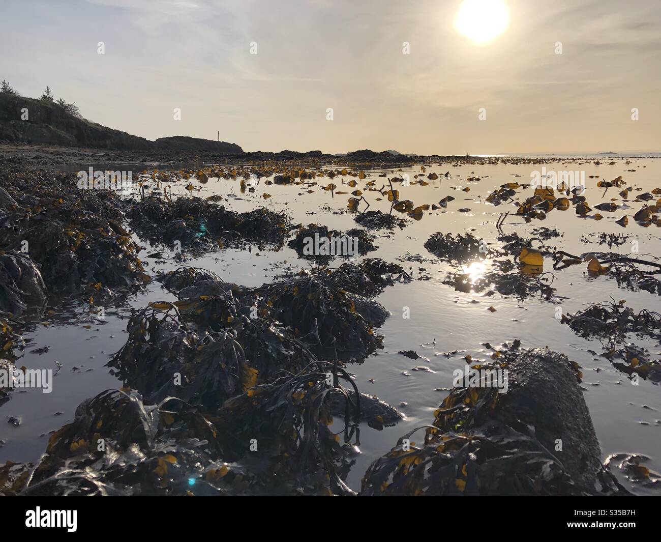Catching the tide hi-res stock photography and images - Alamy
