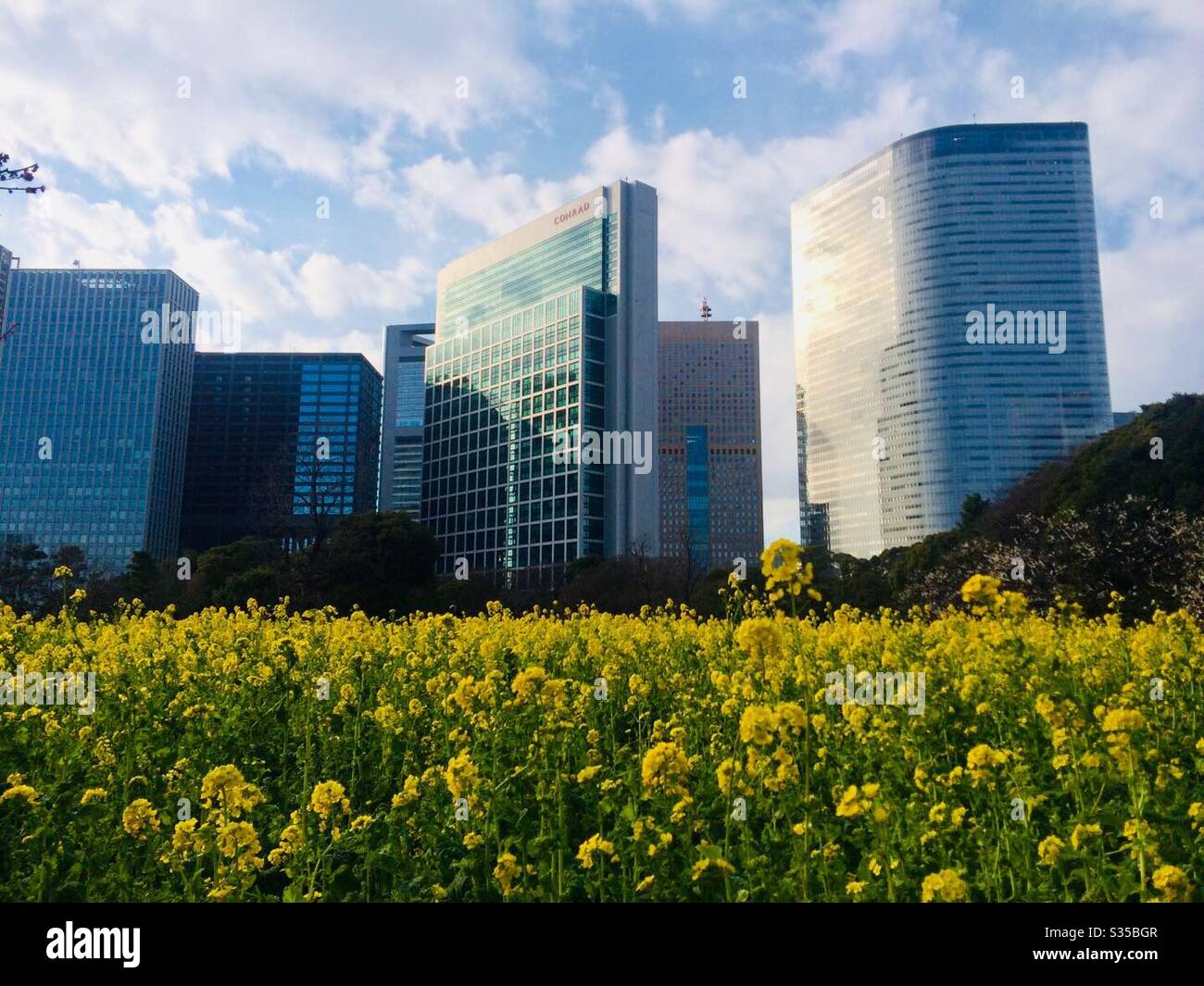 Tokyo nature hi-res stock photography and images - Alamy