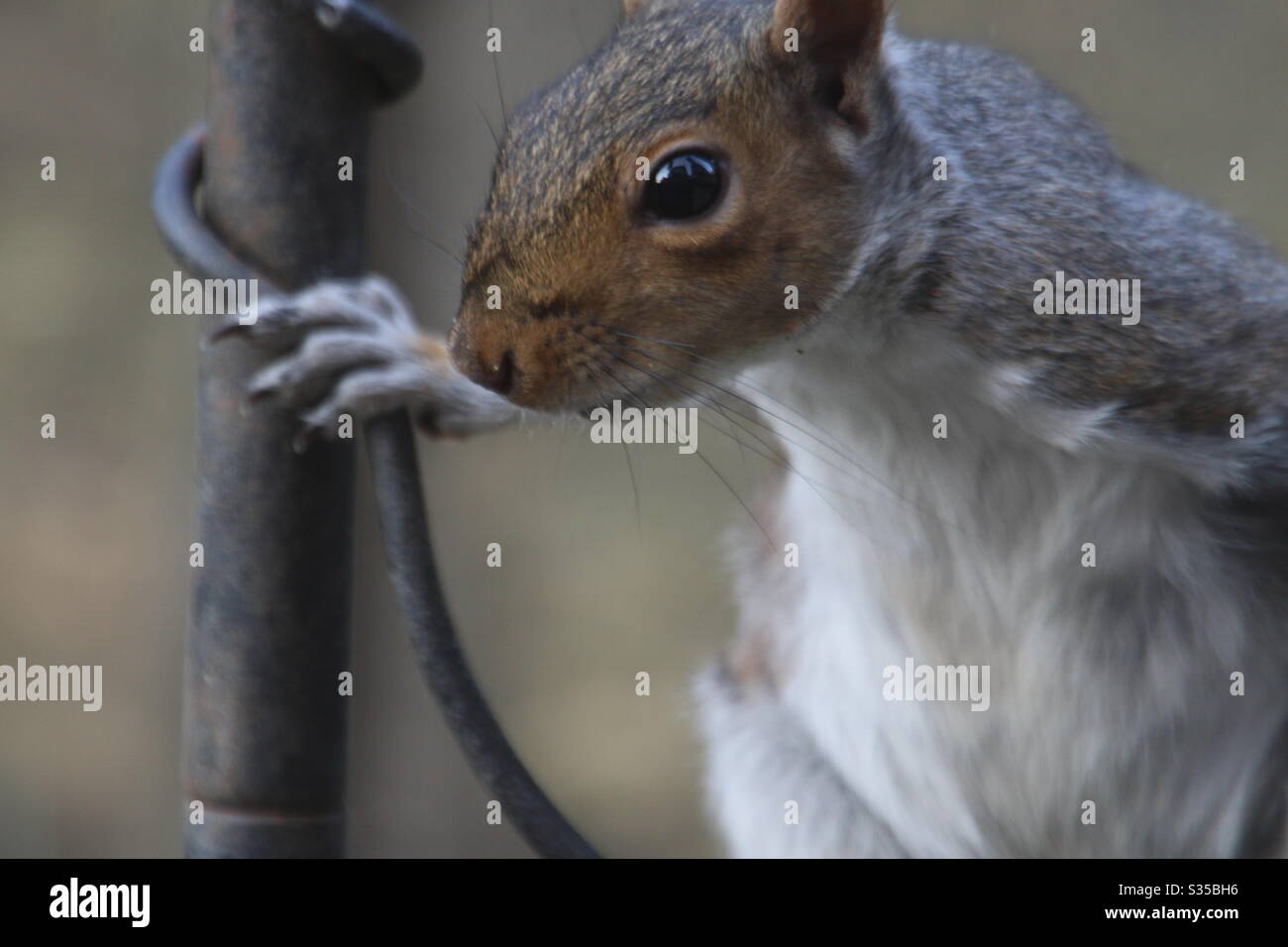 Who was that Stock Photo - Alamy