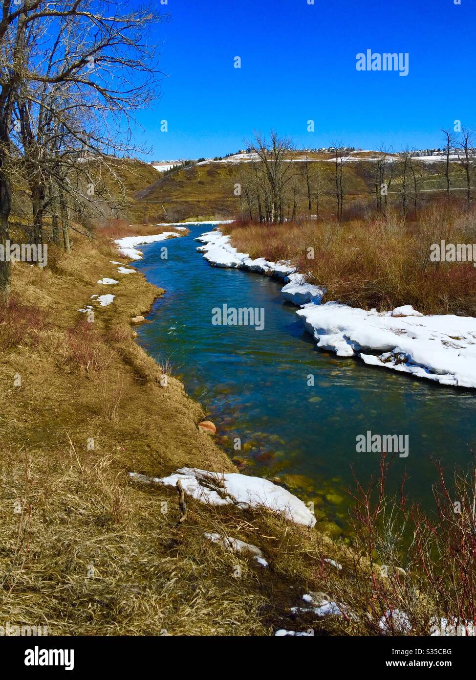 Hill Spring Creek, Matt Kroll Park, Cochrane, Alberta Stock Photo - Alamy