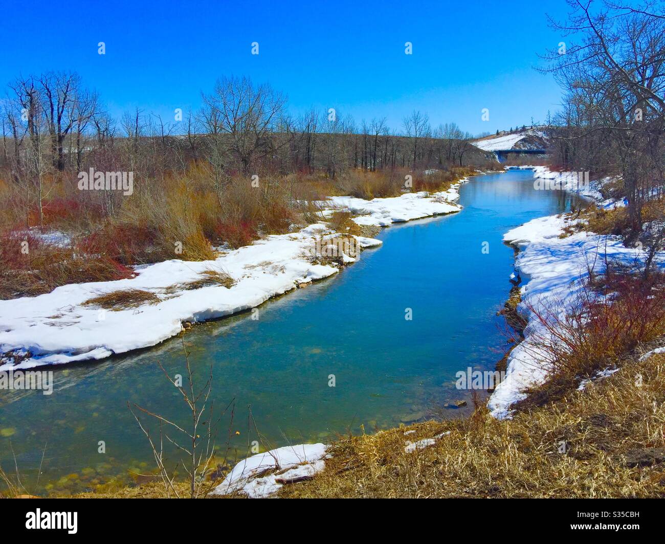 Hill Spring Creek, Matt Kroll Park, Cochrane, Alberta Stock Photo - Alamy