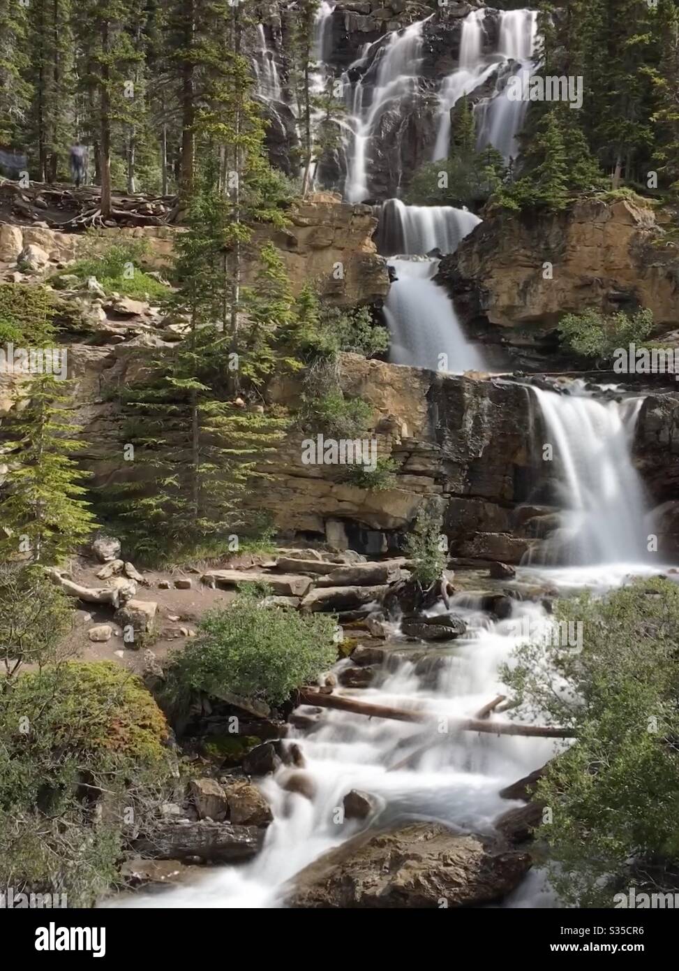 Tangle Creek Falls, Jasper, Alberta Stock Photo - Alamy