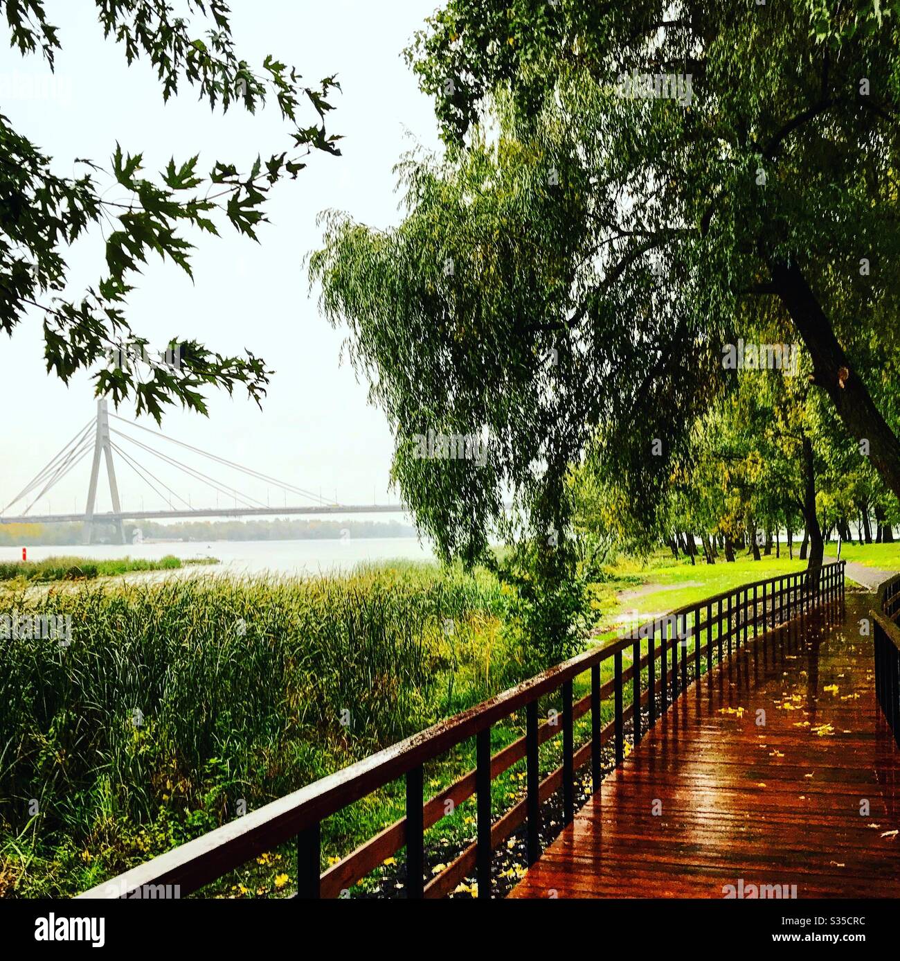 Bridge with green trees hi-res stock photography and images - Alamy