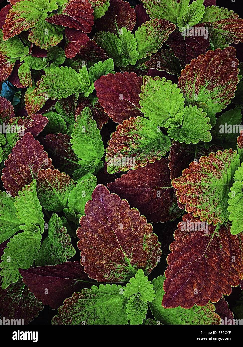 Tension release hi-res stock photography and images - Alamy