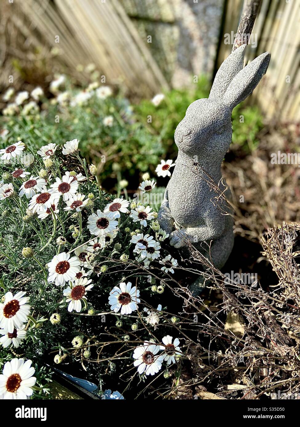 Garden ornament rabbit hi-res stock photography and images - Alamy