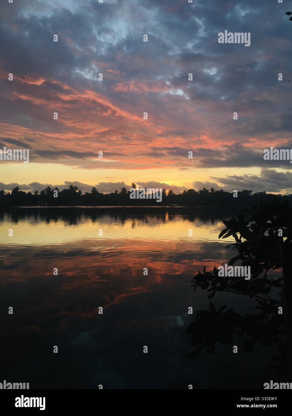 True beauty of nature Stock Photo - Alamy