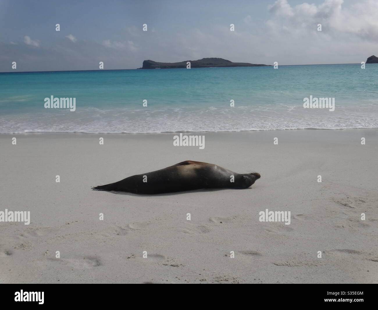 Sunbathing resting hi-res stock photography and images - Alamy