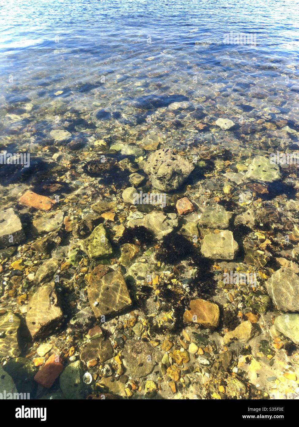 Perfectly clear sea hi-res stock photography and images - Alamy