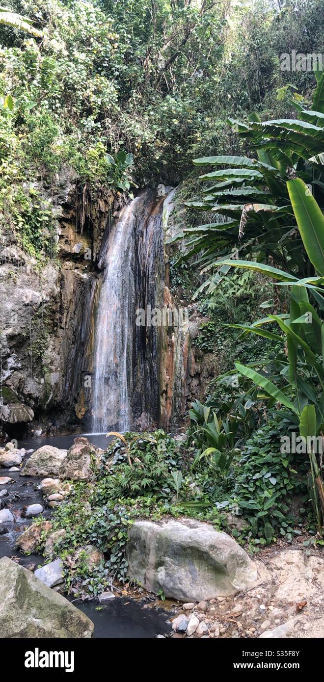 St lucia diamond falls hi-res stock photography and images - Alamy