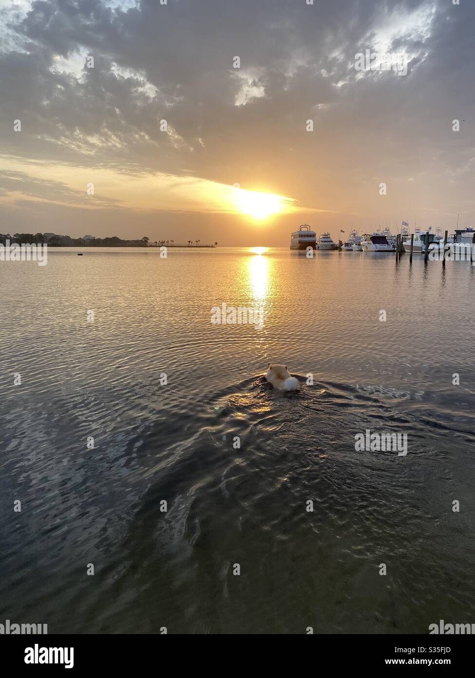 Pomeranian bay hi-res stock photography and images - Alamy