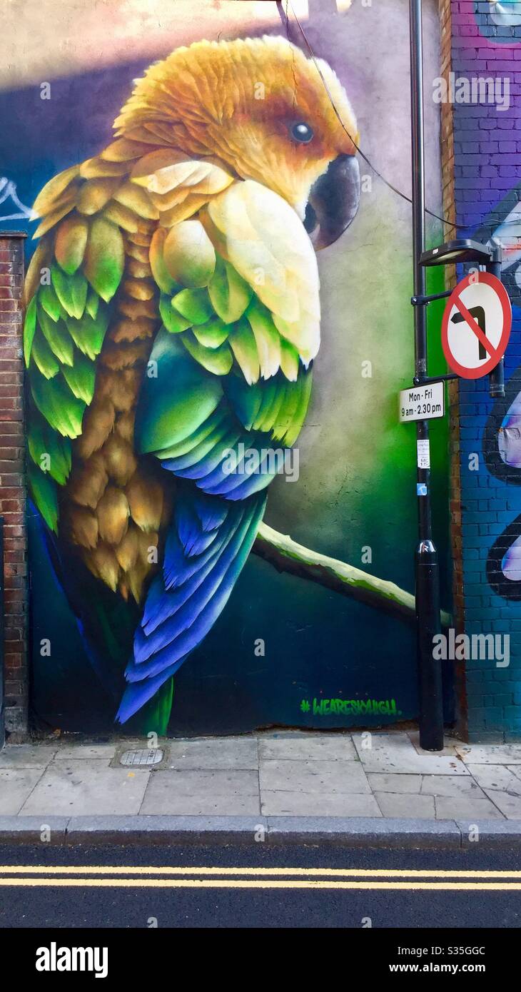 Bird graffiti hi-res stock photography and images - Alamy
