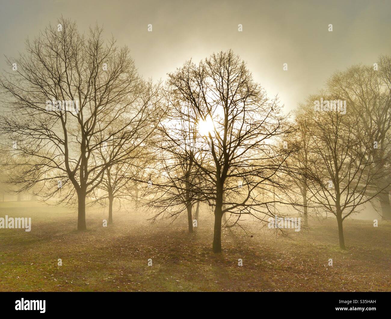 Parks sun hi-res stock photography and images - Alamy