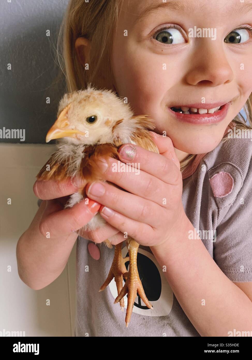 Young girl holding a baby chick and smiling Stock Photo - Alamy