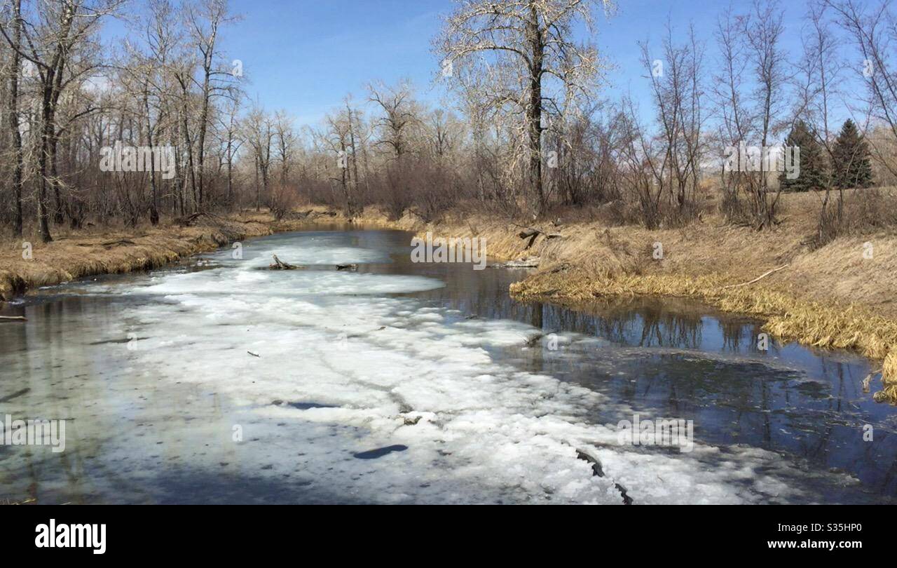 Carburn Park, Calgary, Alberta, Canada Stock Photo - Alamy