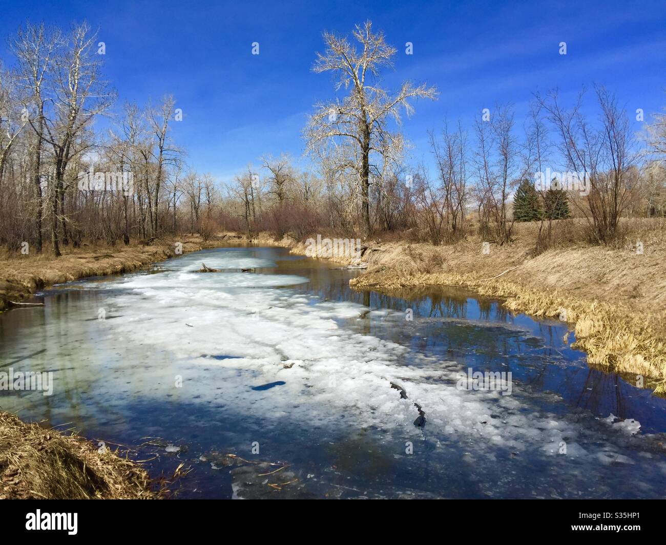 Carburn Park, Calgary, Alberta, Canada Stock Photo - Alamy