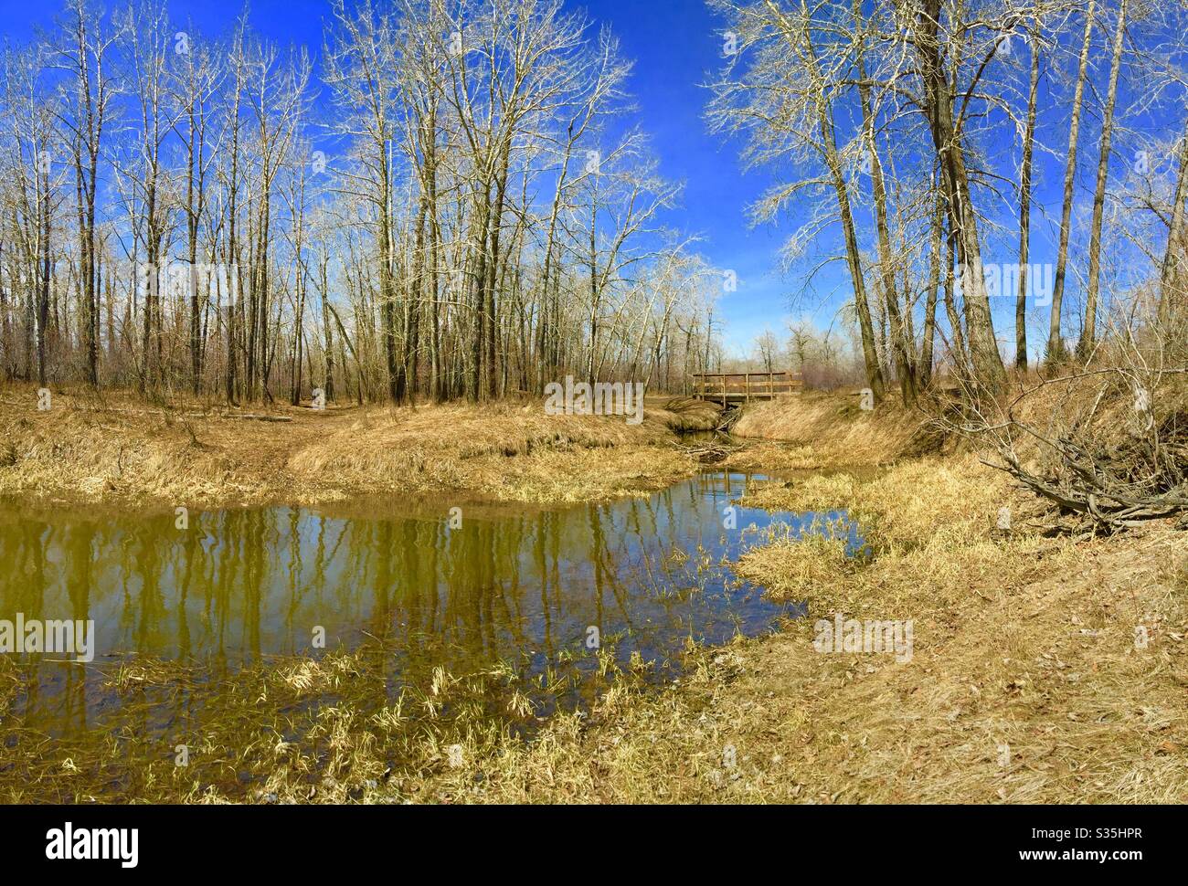 Carburn Park, Calgary, Alberta, Canada, Bow River Stock Photo - Alamy
