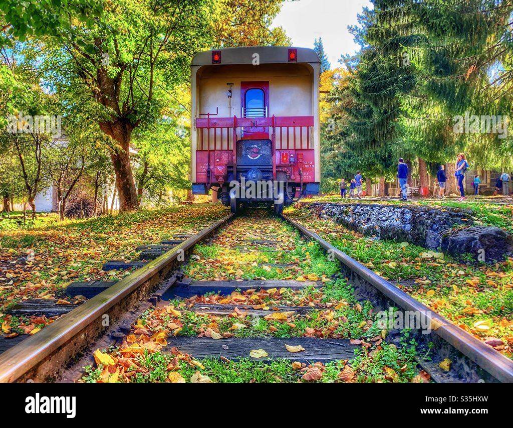 Kukushka train hi-res stock photography and images - Alamy