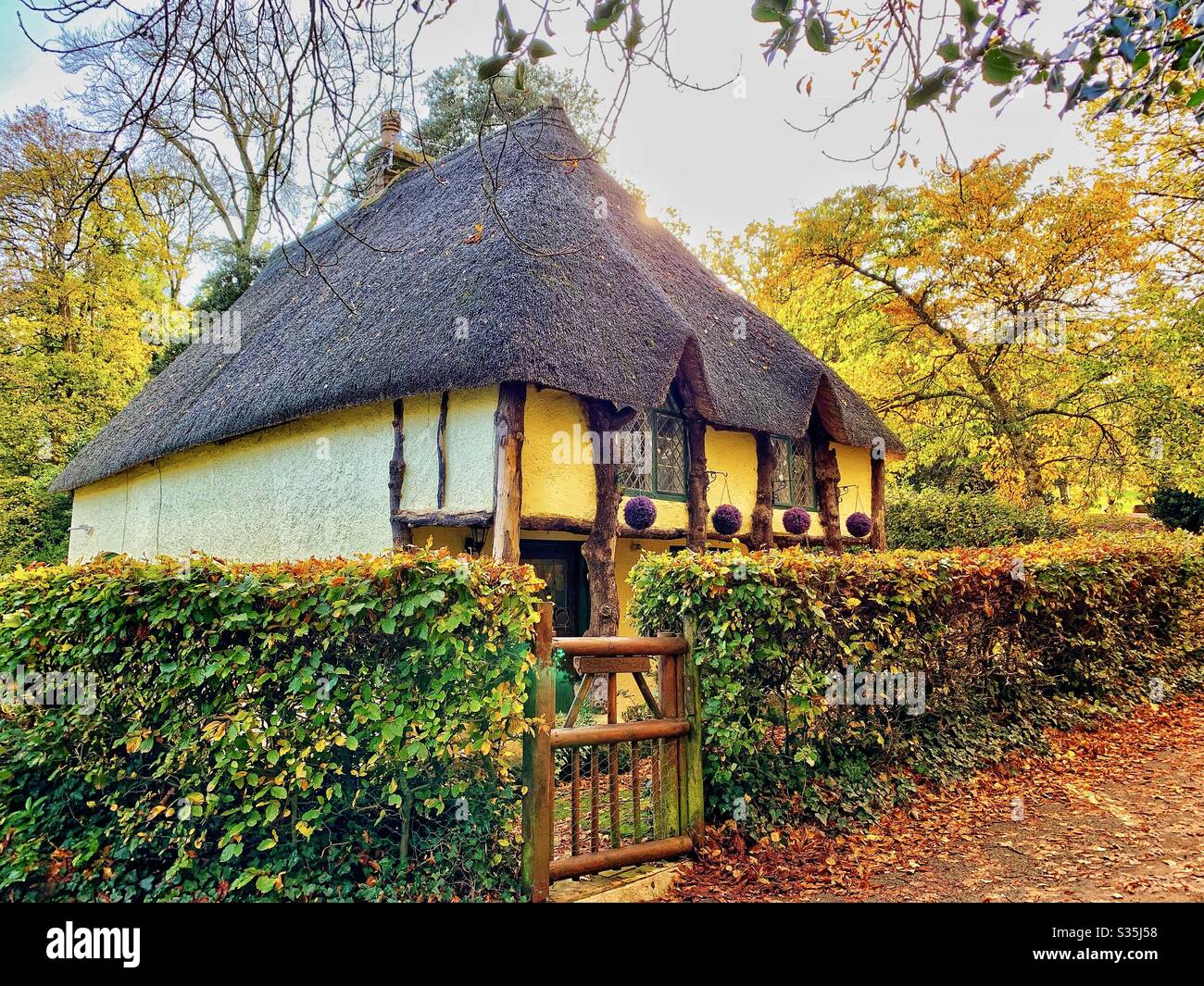 An old thatched cottage, with yellow painted walls, wooden beams and ...