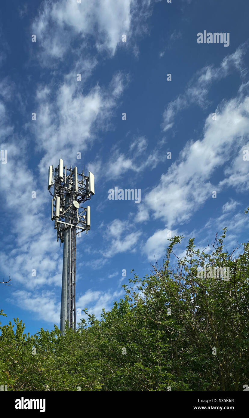 Mobile phone mast in a park Stock Photo - Alamy