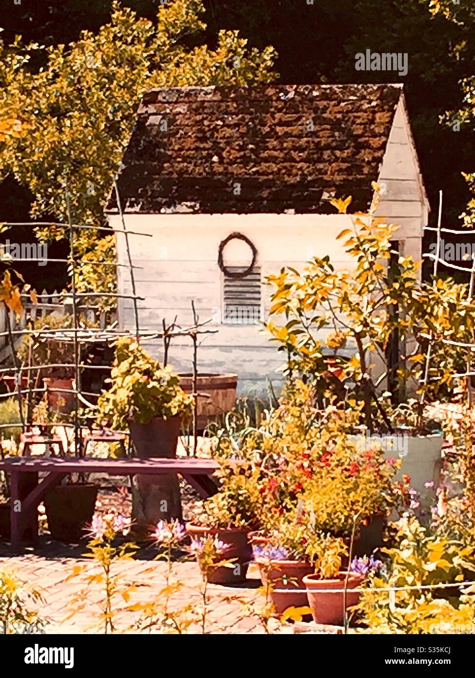 Lovely little garden shack among plants, small trees and flowers Stock ...