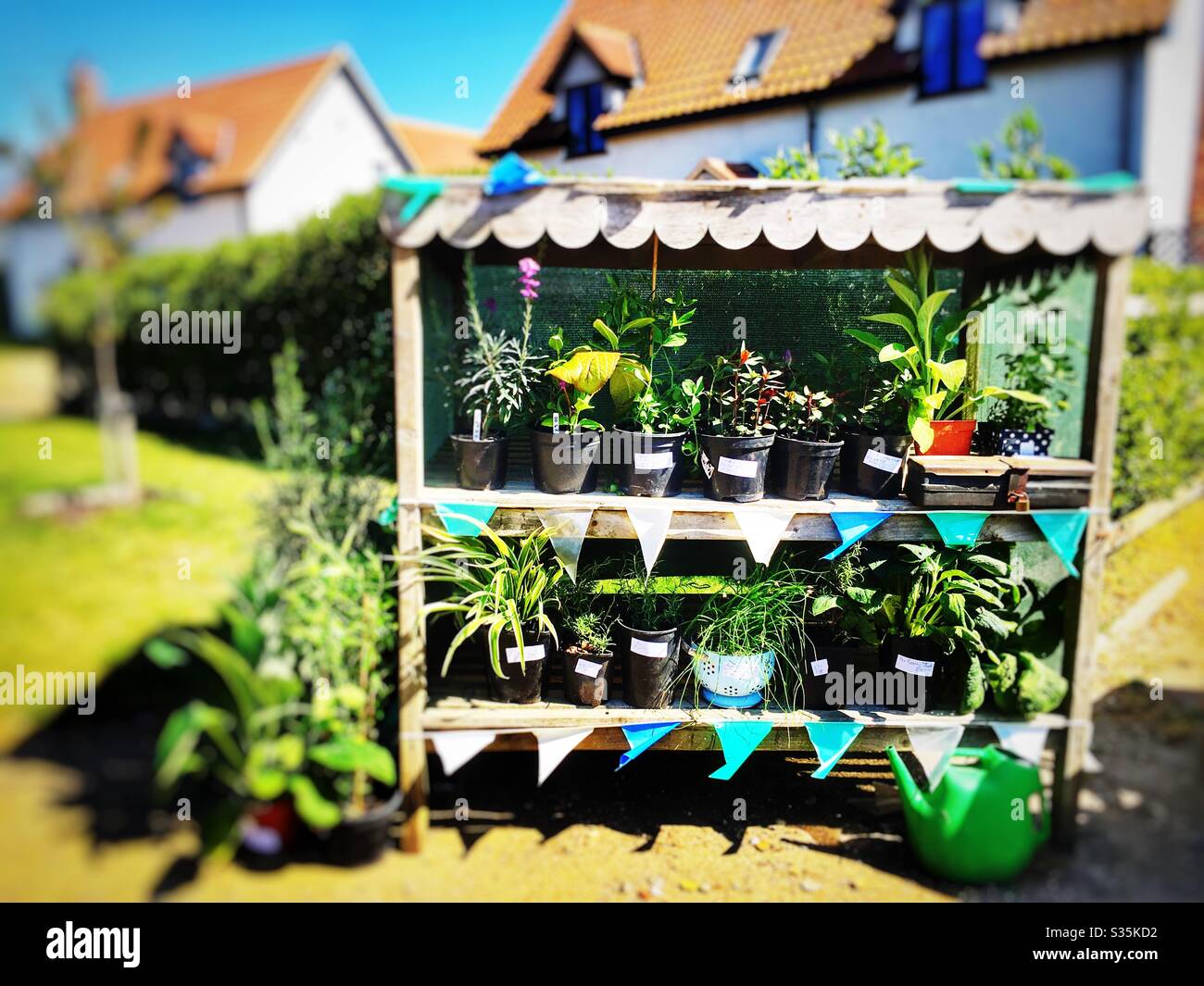 Roadside flowers for sale Stock Photo - Alamy