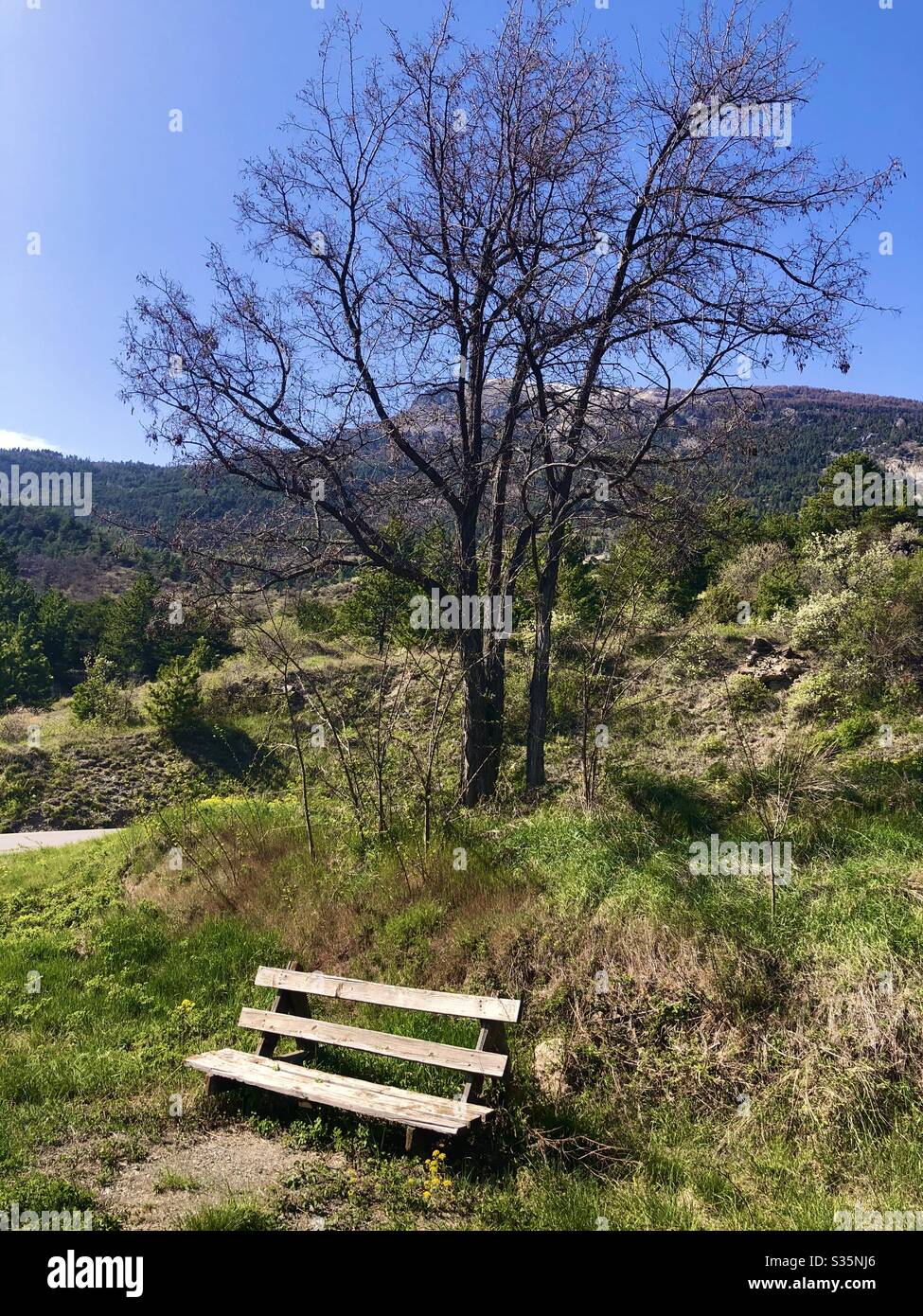 Old bench hi-res stock photography and images - Alamy