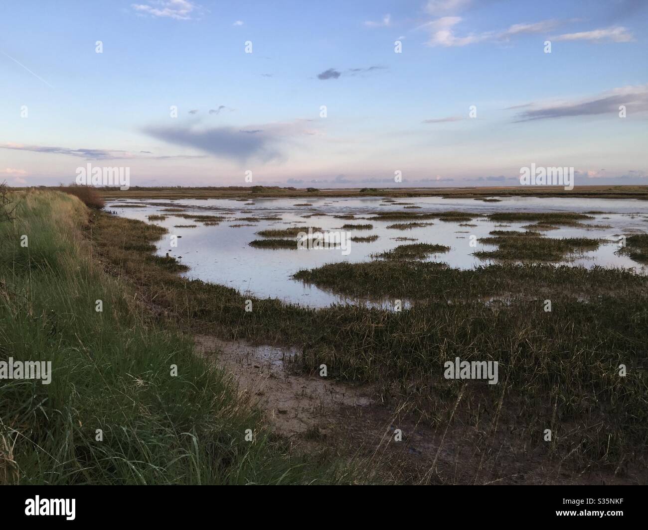 Marsh at low tide hi-res stock photography and images - Alamy