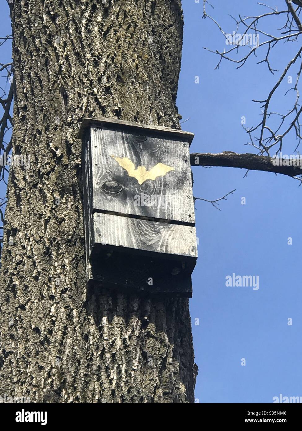 Bat box hi-res stock photography and images - Alamy