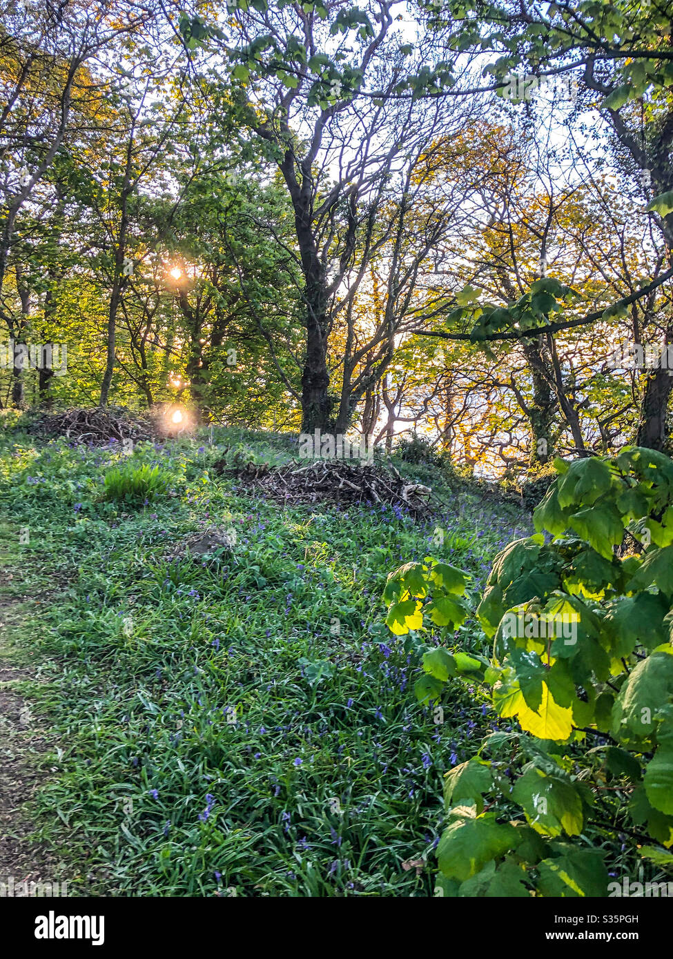 Two suns rising Stock Photo - Alamy
