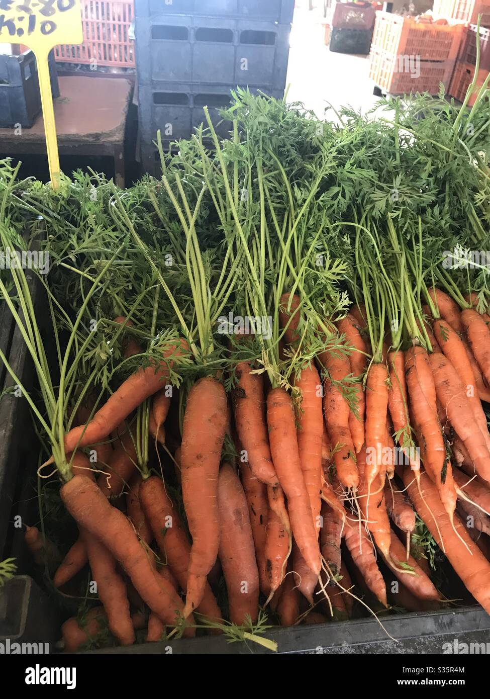 Long stalk carrots hi-res stock photography and images - Alamy