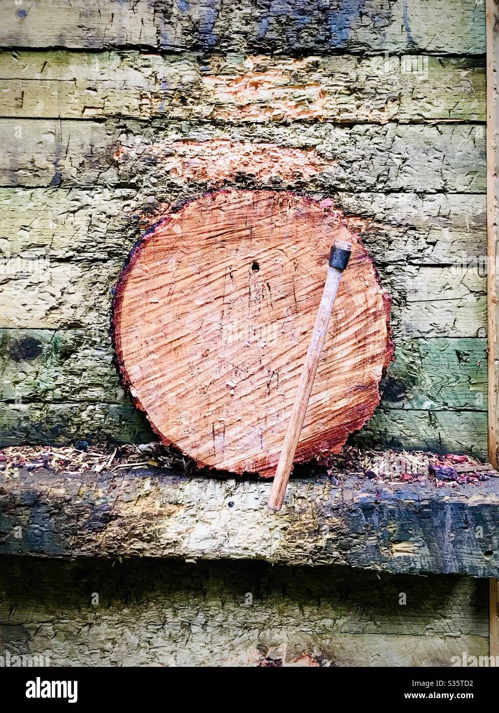 Axe stuck in tree hi-res stock photography and images - Alamy