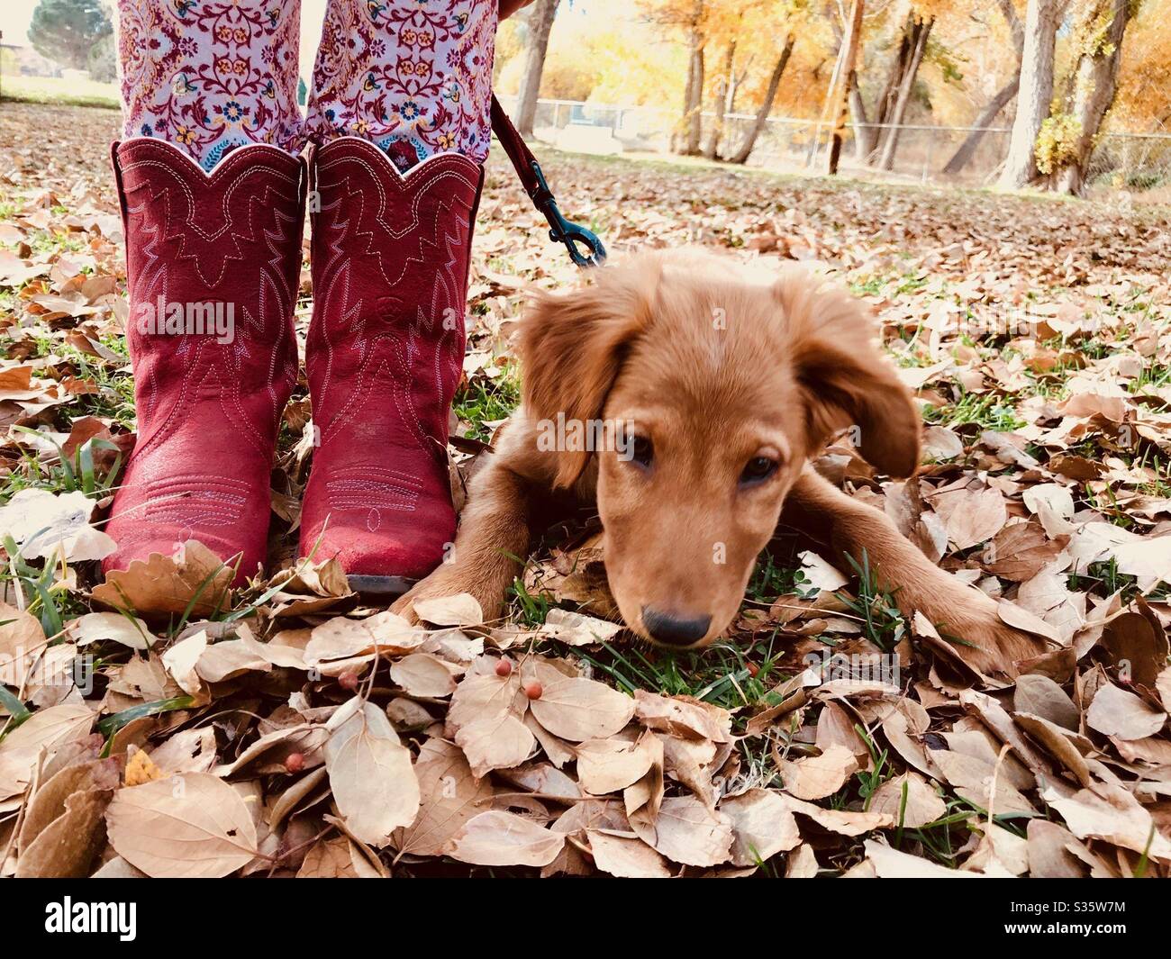 Red Boots For Puppies
