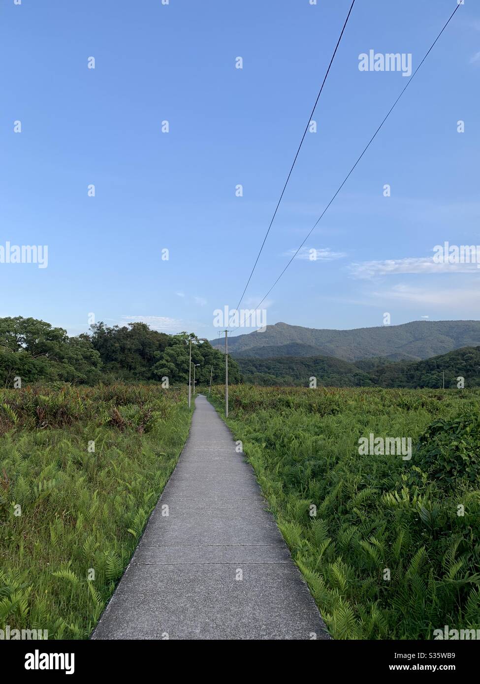 Long way, mountain view, mountain road, hill, park, perk, nature ...
