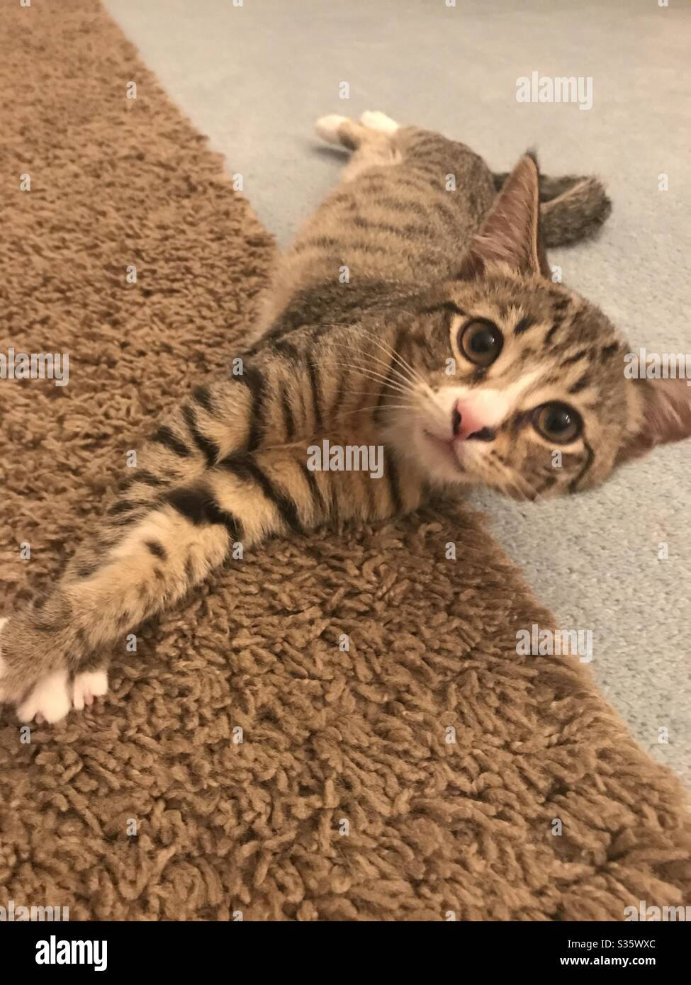 A big stretch Stock Photo - Alamy