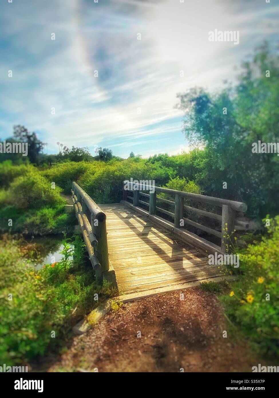 Foot bridge over a marsh Stock Photo - Alamy