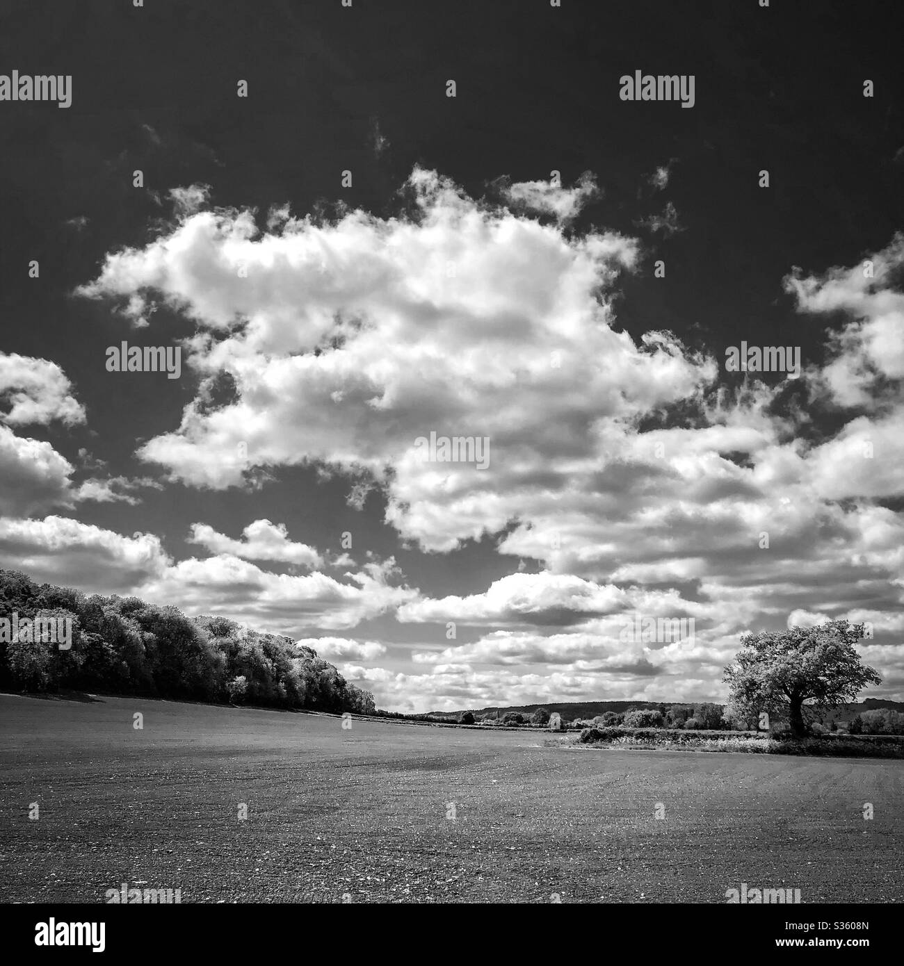 Open countryside in black and white Stock Photo - Alamy