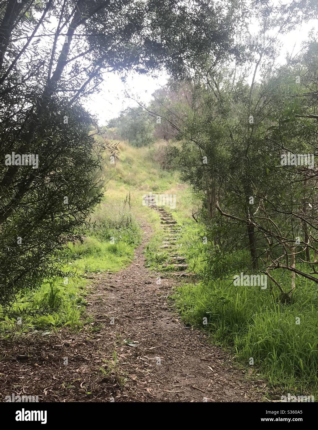 Hidden stairs hi-res stock photography and images - Alamy