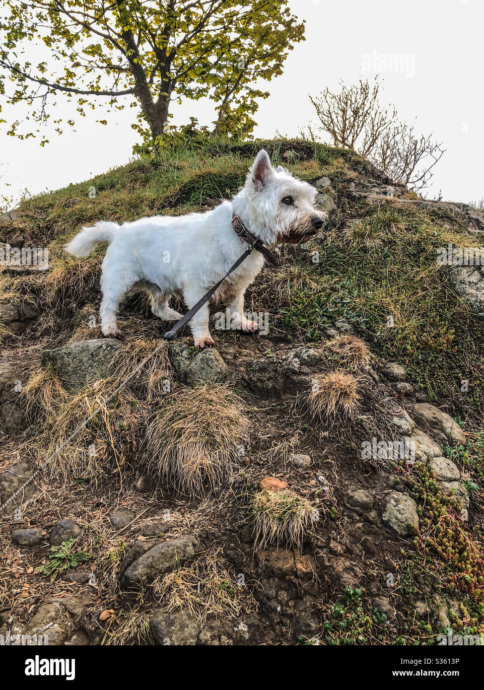 At pause hi-res stock photography and images - Alamy