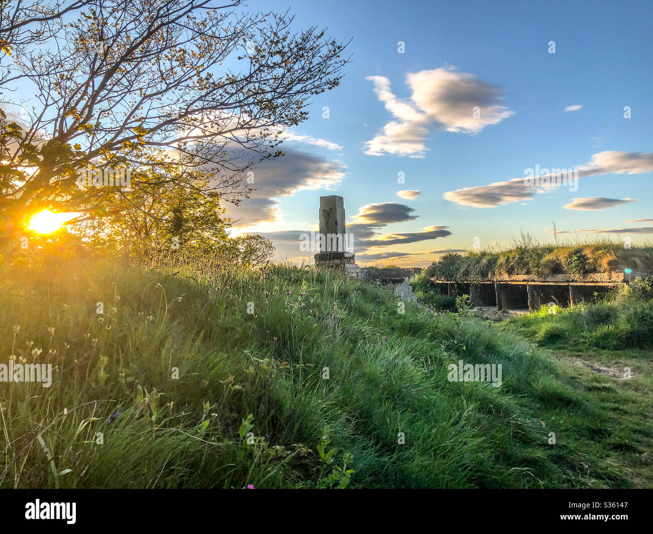 Gun stores hi-res stock photography and images - Alamy